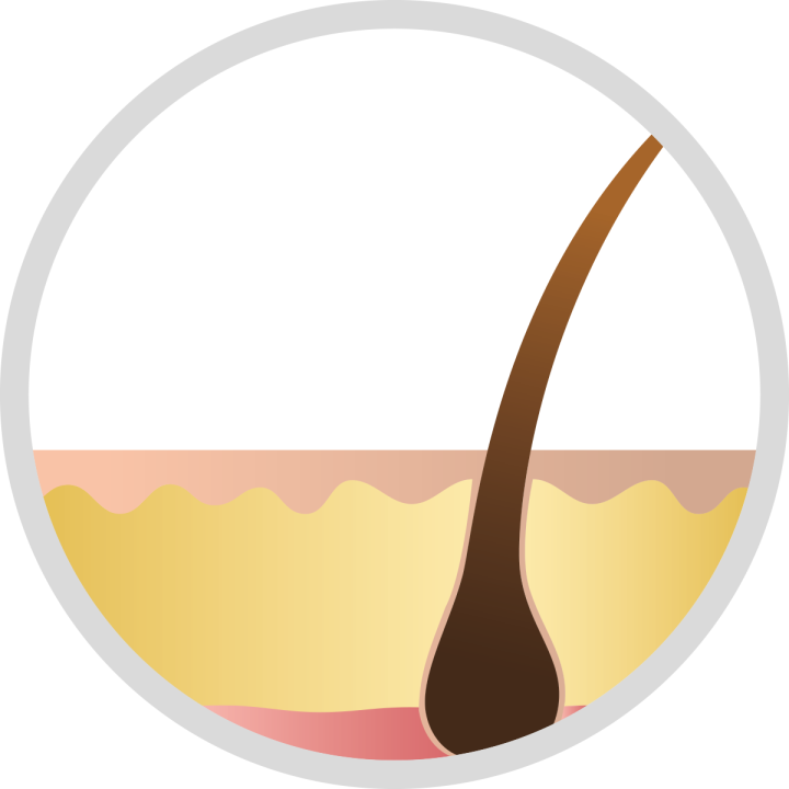 Dermatology Service - Provide